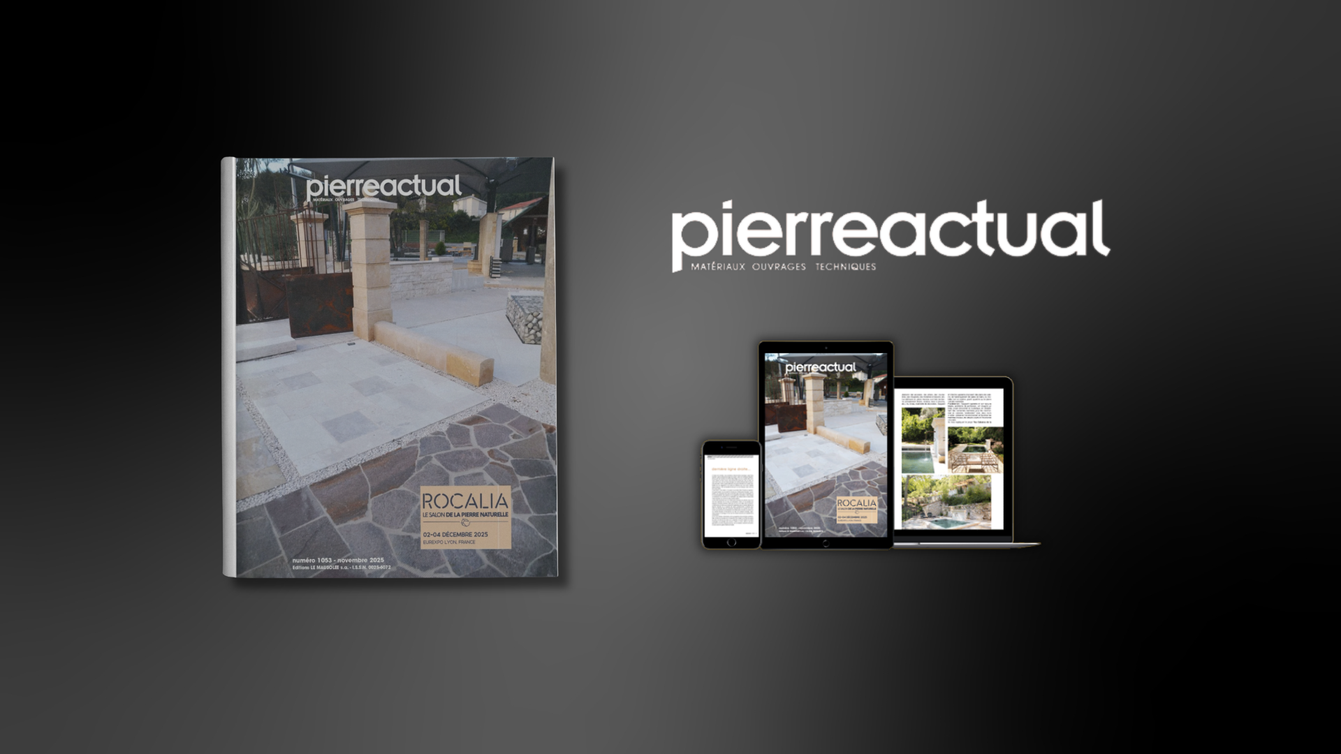 Apparition PIERRE ACTUAL - Novembre 2025 – Minéral Pierre Naturelle